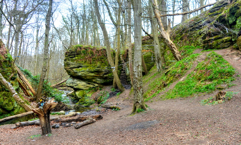 Dunino Den – a hidden gem – Vecchio