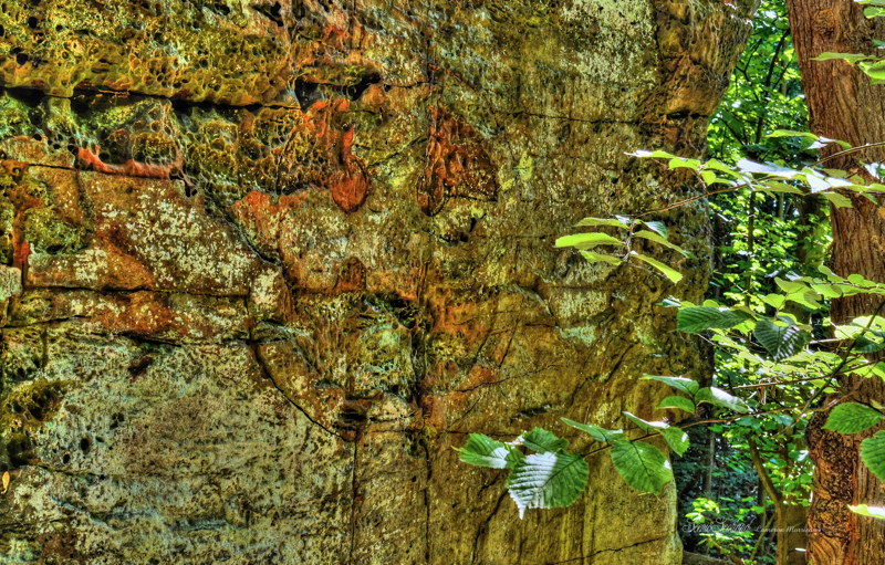 Dunino Den – a hidden gem – Vecchio