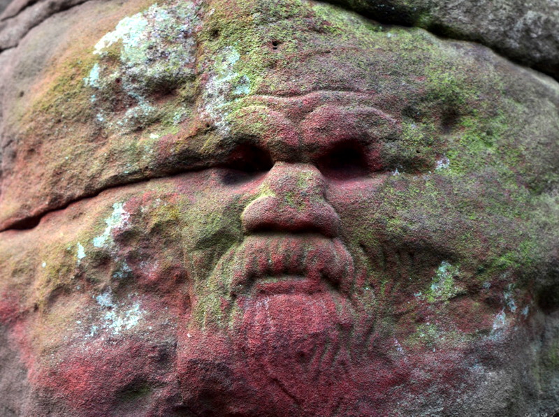 Dunino Den – a hidden gem – Vecchio