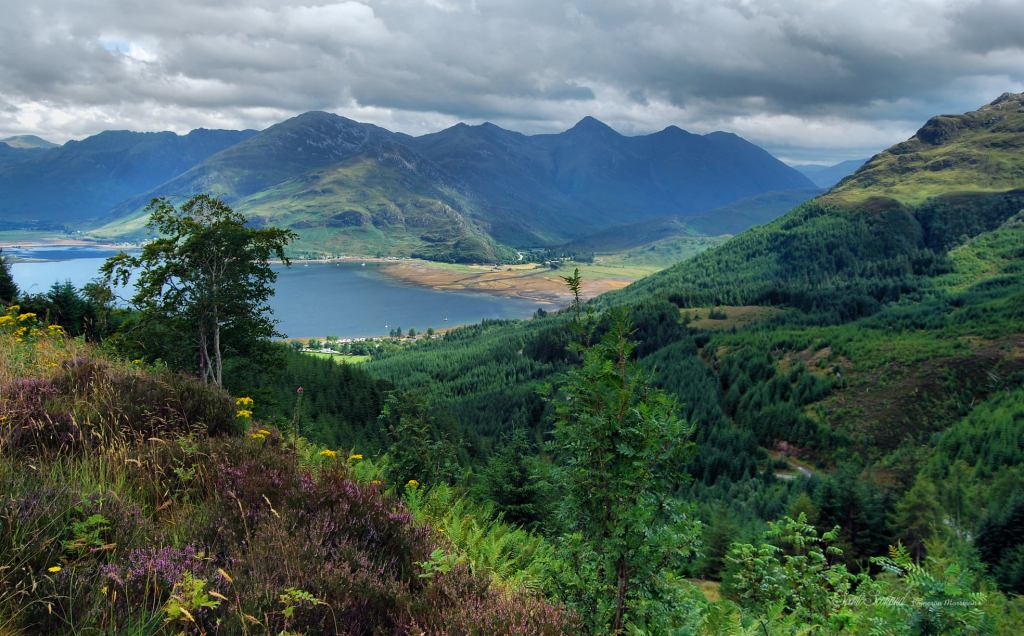 The Five Sisters of Kintail – Vecchio